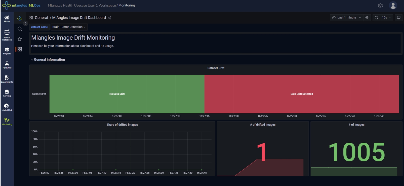 Generative AI Monitoring | mlangles
